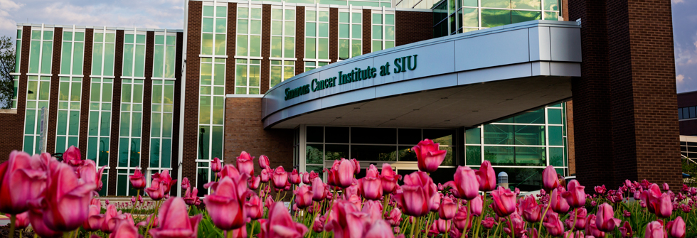 Southern Illinois University System